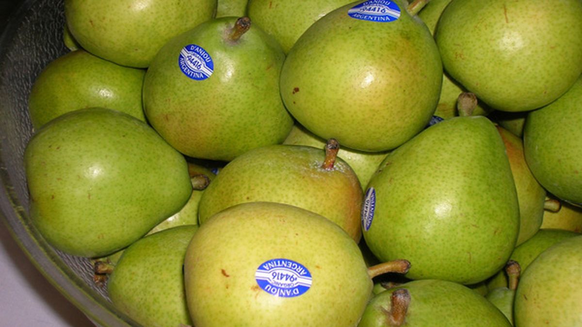 Peras y manzanas: la mayor reserva genética está en el INTA