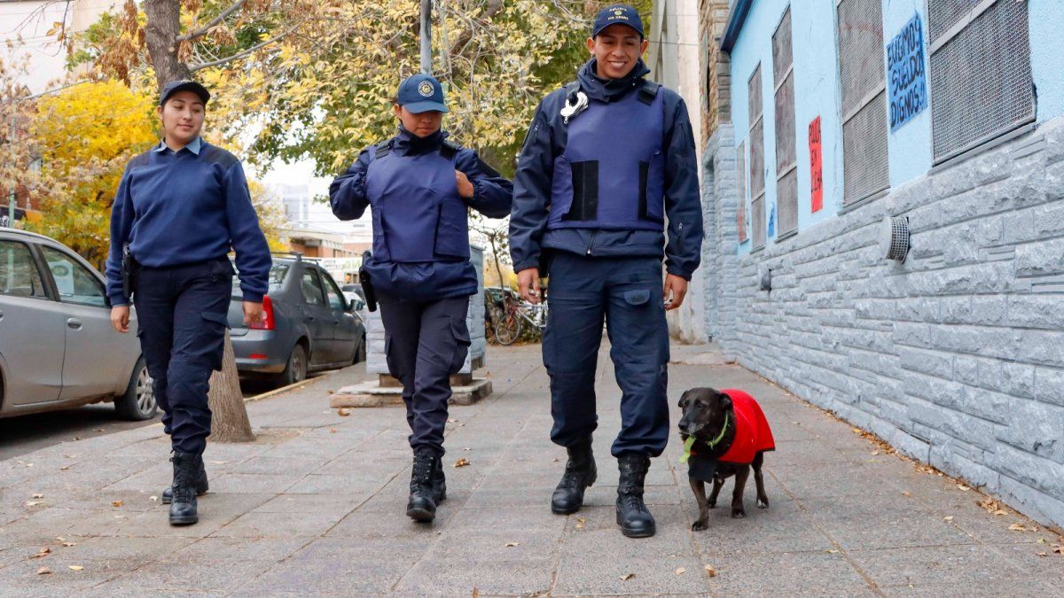 La Juana, a cara de perro con los ladrones: su increíble historia