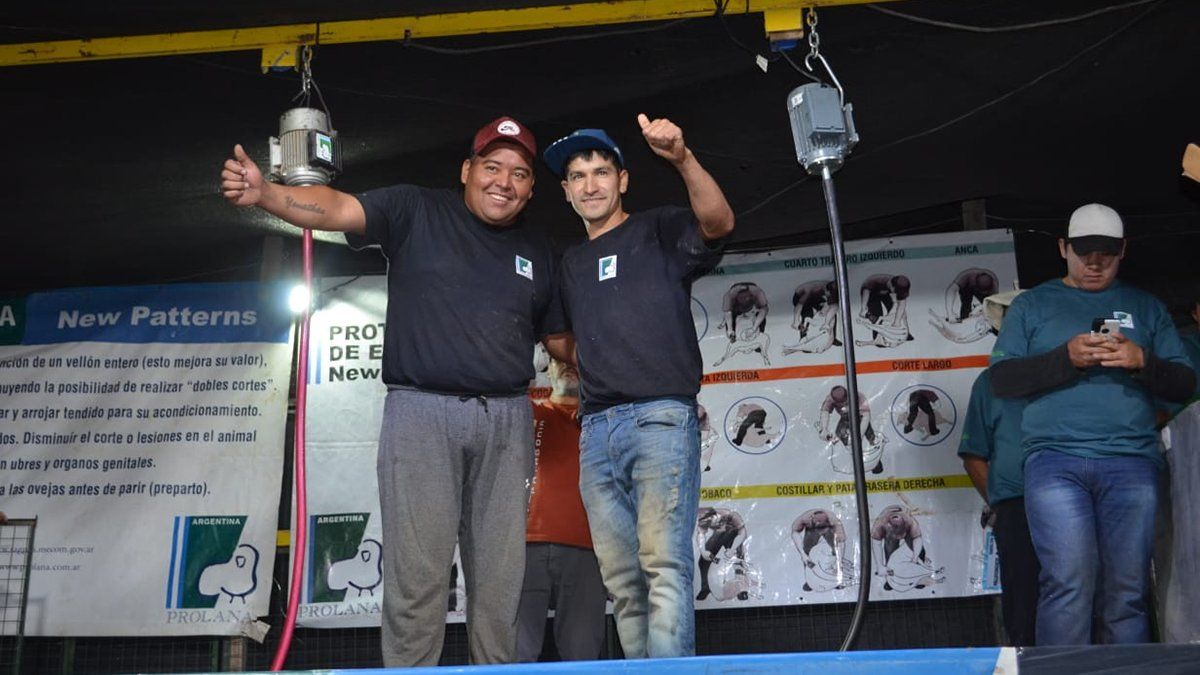 Récord de participación en el XIX Campeonato de Esquila de Río Negro