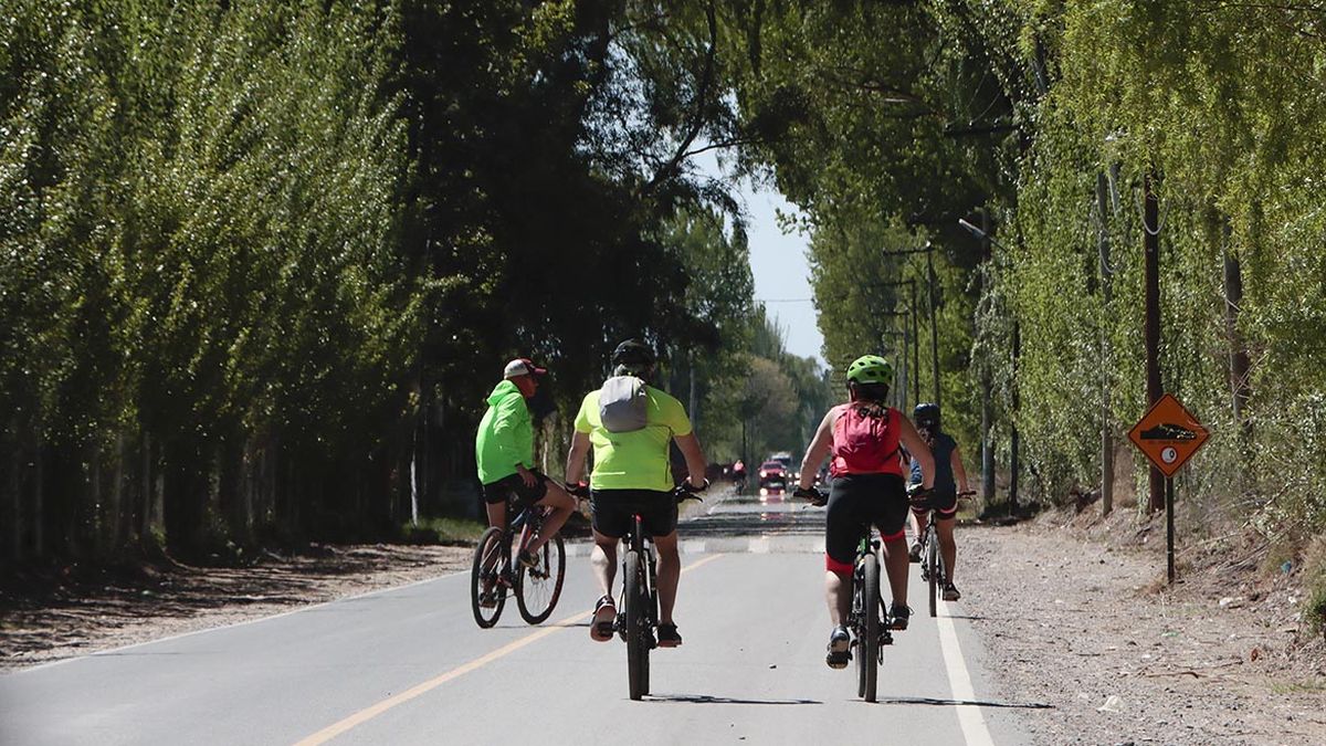 Cómo sigue el tiempo en Cipolletti, tras el temporal de viento