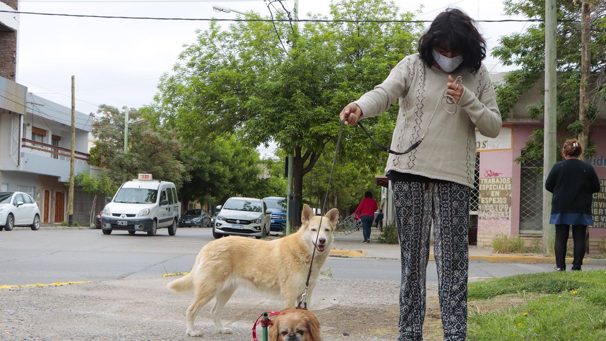 Toto, el perro que salvó la vida de Isabel