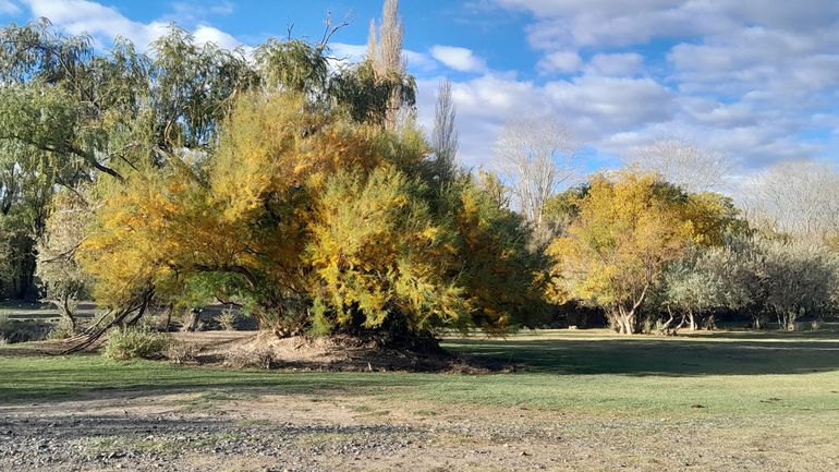 Tiempo en Cipolletti: a qué hora comienza el viento?