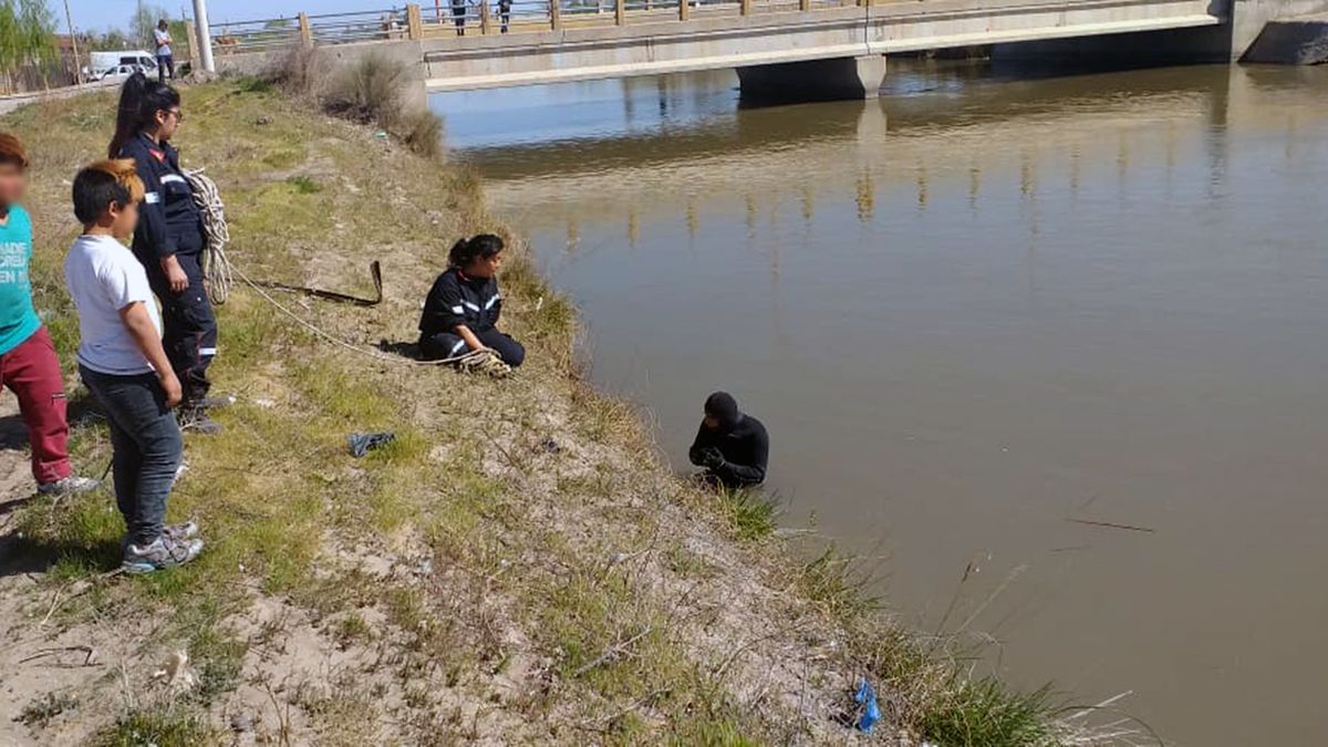 Desesperada búsqueda de una nena de dos años en Allen