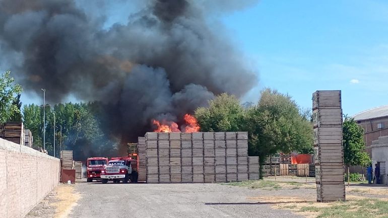 Terrible incendio en Allen: Se quemaron cientos de cajones bins en un frigorífico