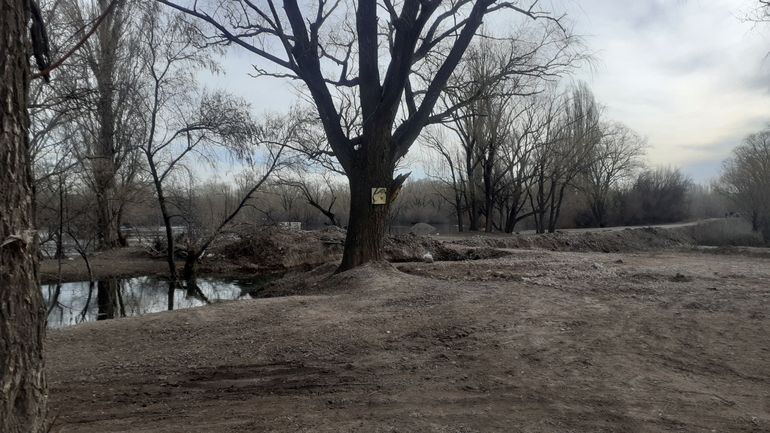 Isla Jordán: El enigmático cuadro clavado en un árbol