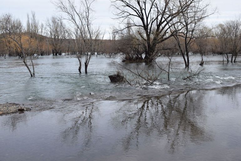 Mirá la crecida del río Negro en la Isla Jordán