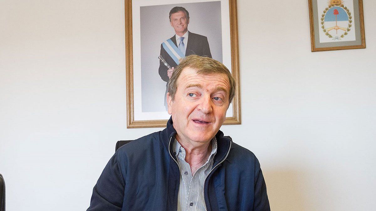 Tortoriello quiere liderar el PRO