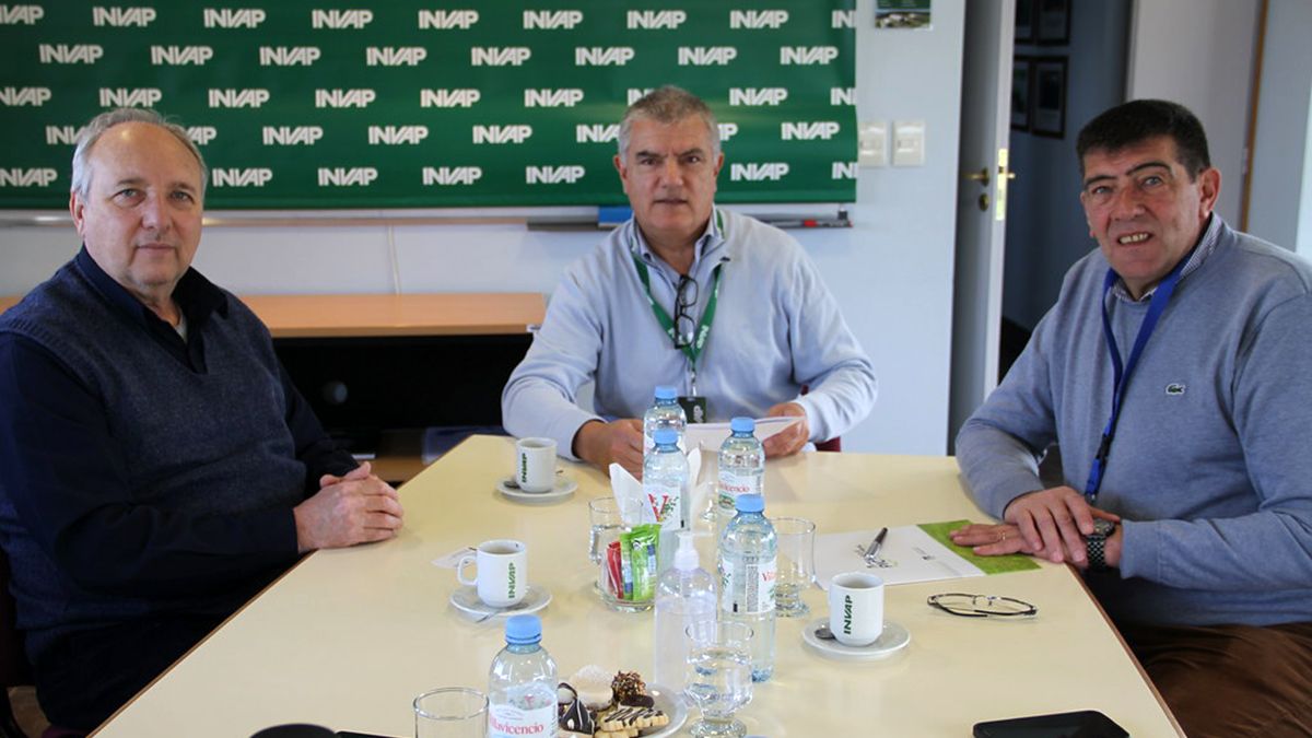 La empresa de tecnología espacial Invap se instalará en Cipolletti