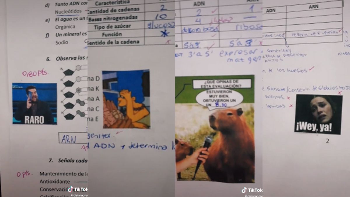 La docente que se volvió viral por corregir las evaluaciones con memes