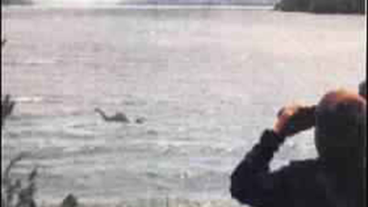 Presentarán el avance de un documental sobre la existencia del ...